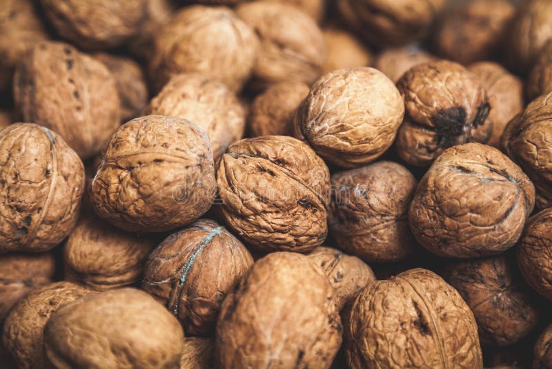 Group of large walnuts stock image. Image of division - 110091493
