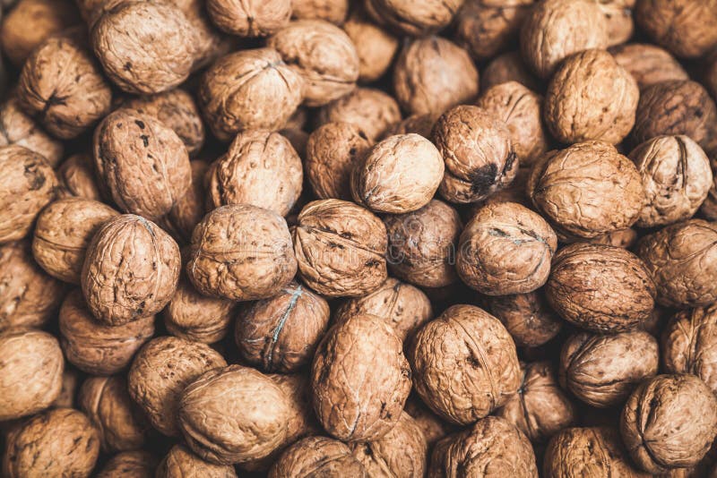 Group of Large Walnuts on White Background Closeup Stock Image - Image ...