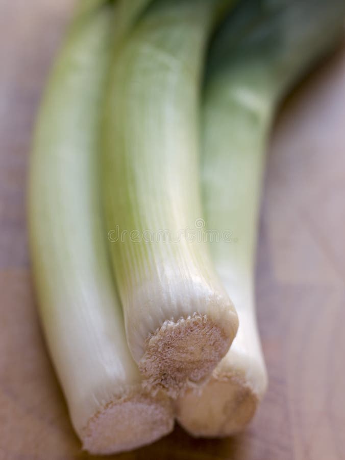 Leeks stock image. Image of ring, ingredient, symbol - 137409657