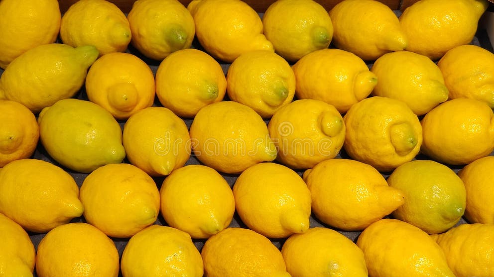 A group of lemons stock image. Image of rows, yellow - 149359601