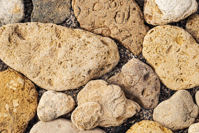 Group of Light Brown Sedimentary Rocks Displayed on Dark Sandy Surface ...