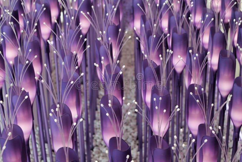 Group of Lights Inside Plastic Purple Flowers Stock Photo - Image of ...