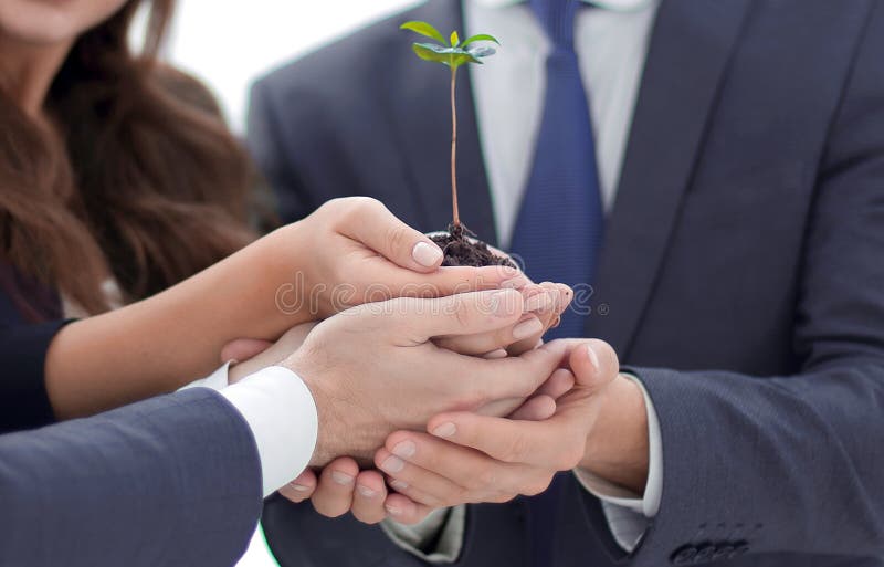 Group of Like-minded People Holding a Fresh Sprout Stock Photo - Image ...