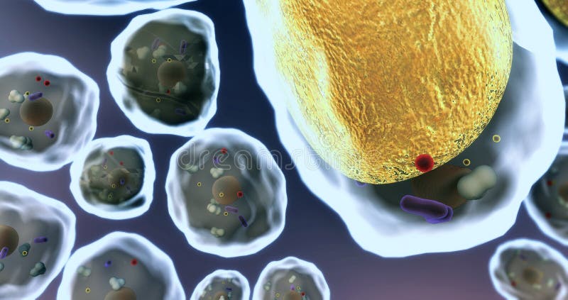 Group of Living Cells Under Microscope Stock Illustration ...