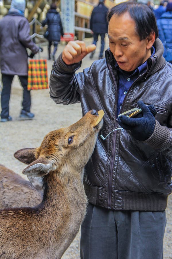 Group of Locals Walking in the Park of Nara. People of Japan Editorial ...