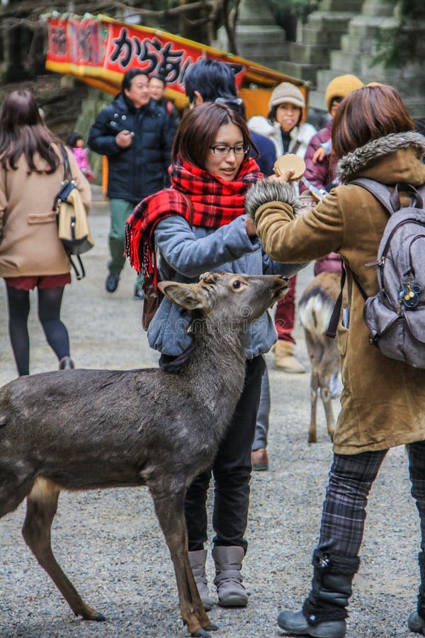 Group of Locals Walking in the Park of Nara. People of Japan Editorial ...