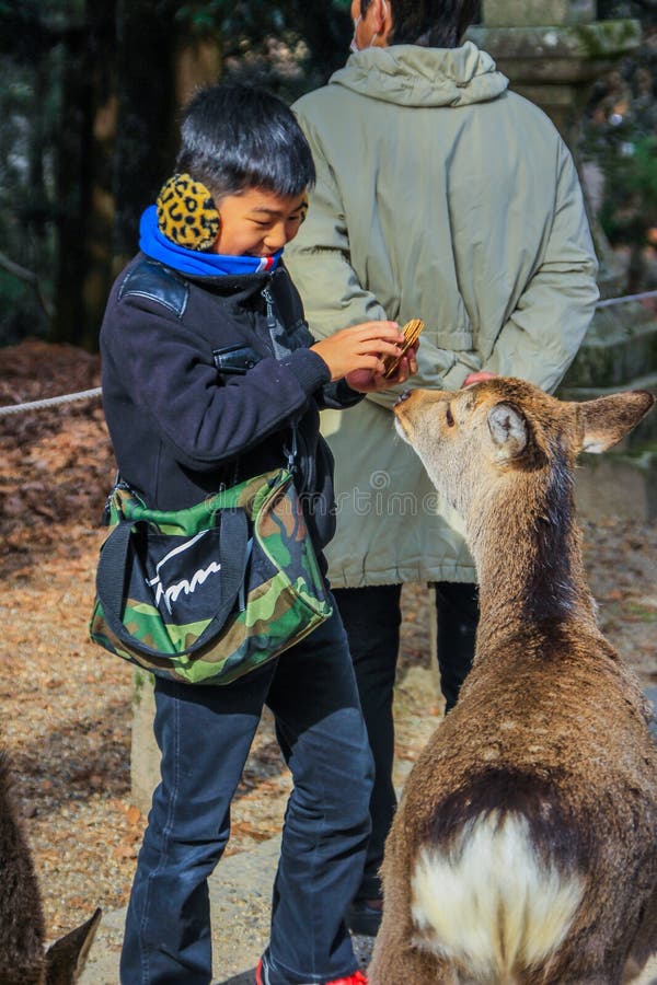 Group of Locals Walking in the Park of Nara. People of Japan Editorial ...
