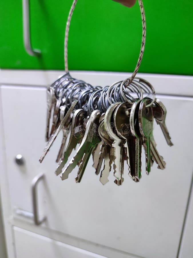 Group of Locker Keys Hanging Stock Photo - Image of lock, insect: 258729470