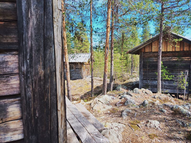 Group of Log Cabins in the Swedish Forest Stock Photo - Image of wooden ...