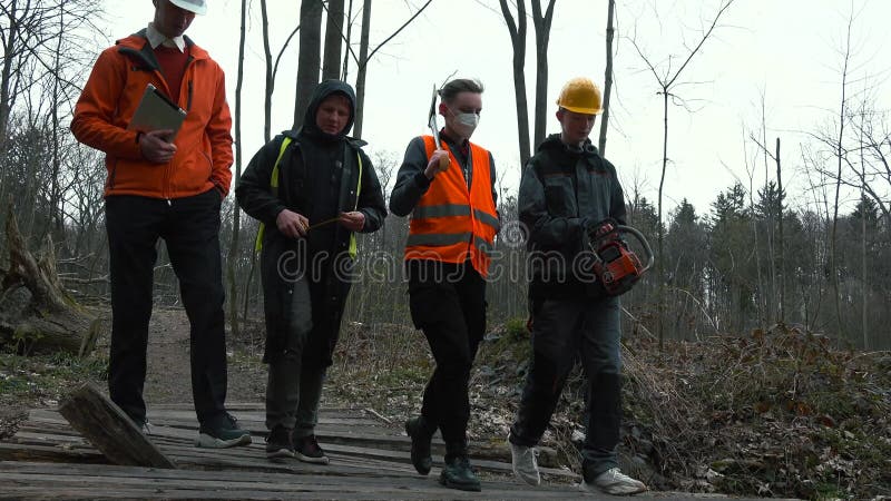 The Logging Team Takes Measurements of the Logs before Processing ...