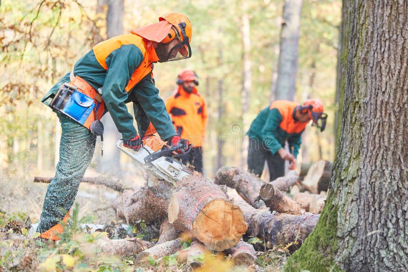 Lumberjack in forest stock photo. Image of sharp, handsome - 37154016