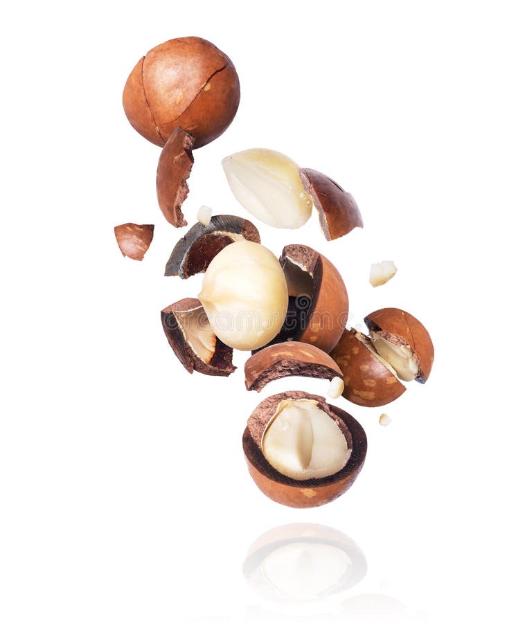 523 Nuts Explosion Stock Photos - Free & Royalty-Free Stock Photos from ...
