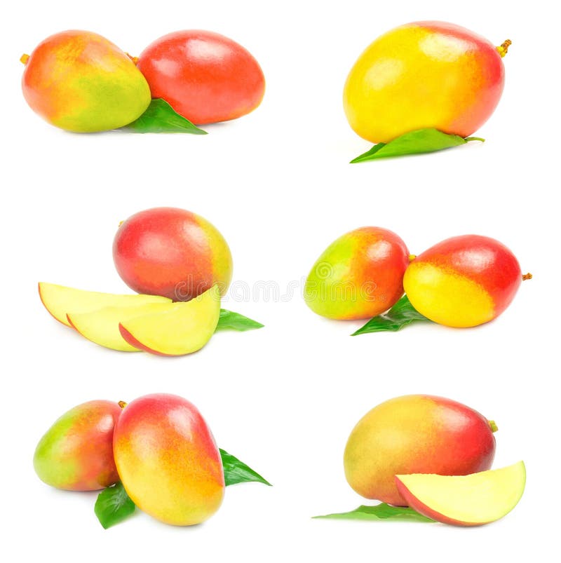 803 Collage Mango Stock Photos - Free & Royalty-Free Stock Photos from ...