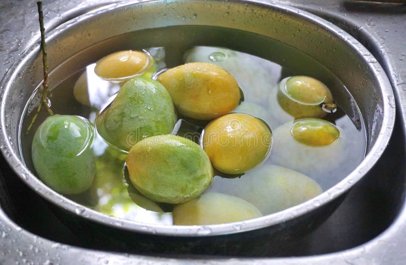 Group of Mango Washing in Basin Close Up Group of Mango Washing in ...