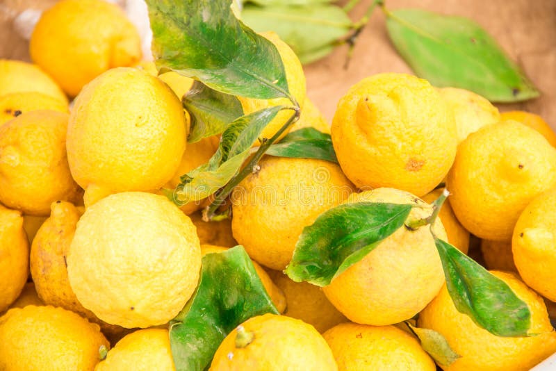 Group of Many Lemons with Leaves. Stock Photo - Image of acid, fresh ...
