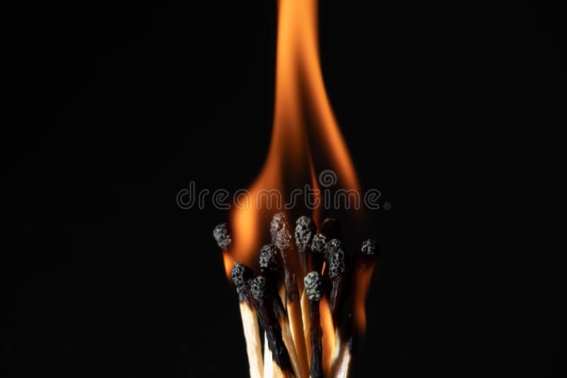 Group of Match is Ignite on a Blurry Wood Background Stock Photo ...
