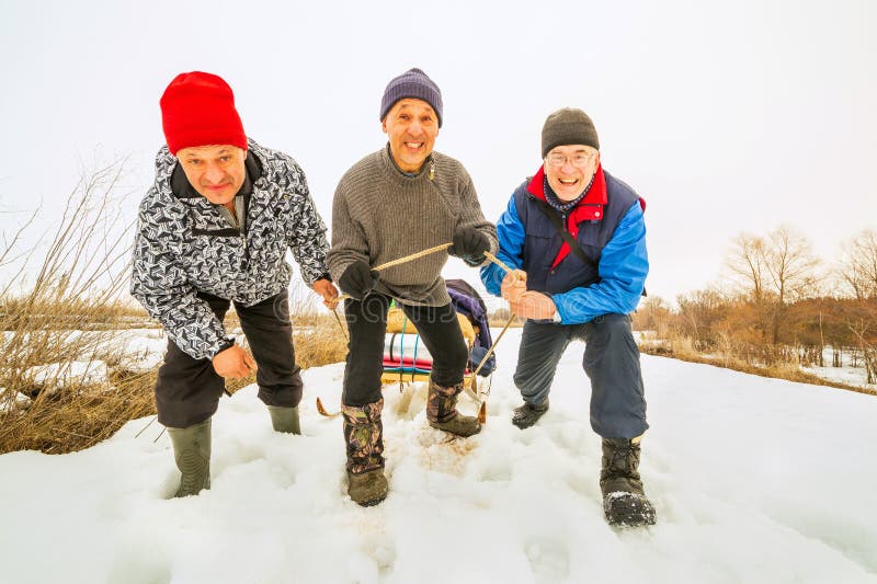 A Group of Mature Men Pull a Heavy Sled with a Load on a Snowy Road ...