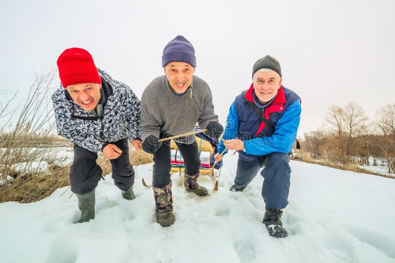 A Group of Mature Men Pull a Heavy Sled with a Load on a Snowy Road ...
