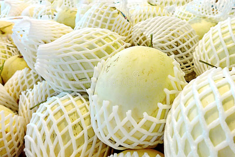 Group of Melon in the Market Stock Image - Image of market, food: 59303683