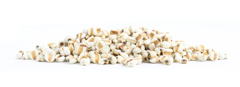 Group millet on white stock image. Image of nature, millets - 106613183