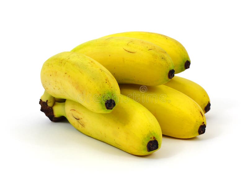 Group Mini Bananas stock photo. Image of nutritious, strong - 16355096