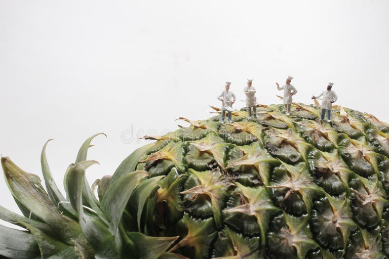 A Group of Mini Chef Thing How To Cook the Pipeapple Stock Photo ...