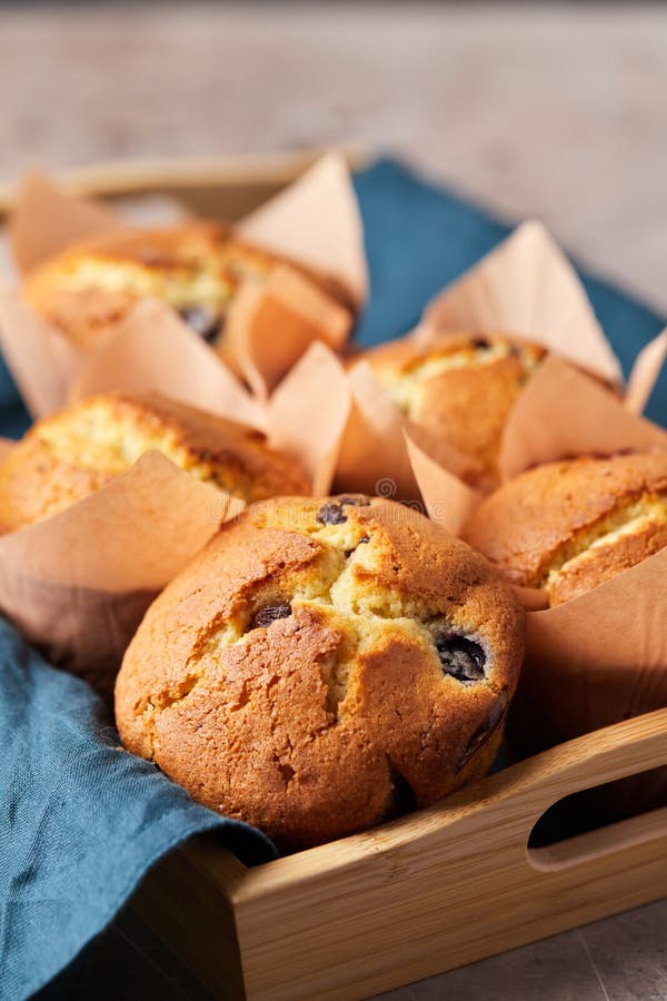 A Group of Muffins with Berries and Chocolate on a Tray. Stock Image ...