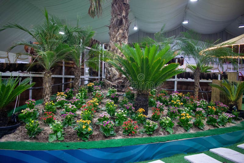 A Group of Multi-colored Flowers with Some Small Palm Trees Inside an ...