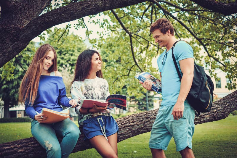 Group of Multi Ethnic Students in a City Park Stock Image - Image of ...
