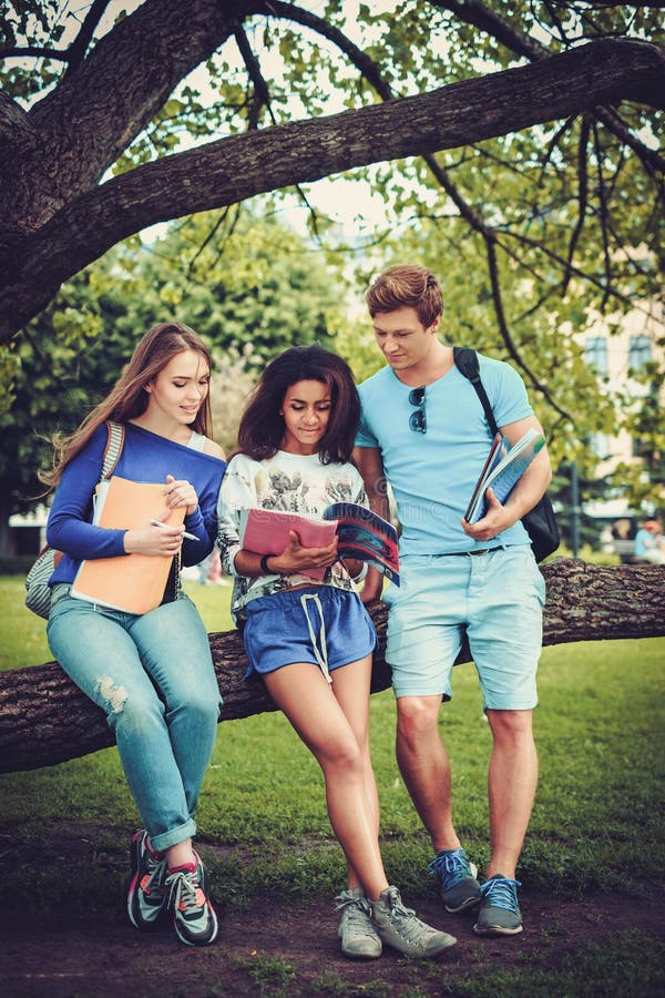 Group of Multi Ethnic Students in a City Park Stock Image - Image of ...