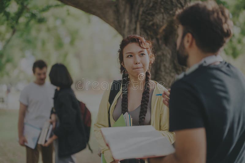 Diverse Students Collaborating on Assignments in a Sunny Park Setting ...