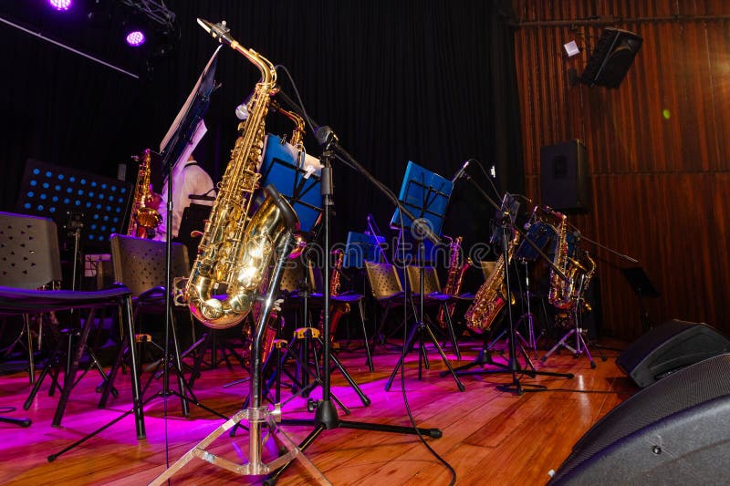 A Group of Musicians are Playing Instruments on Stage Stock Image ...