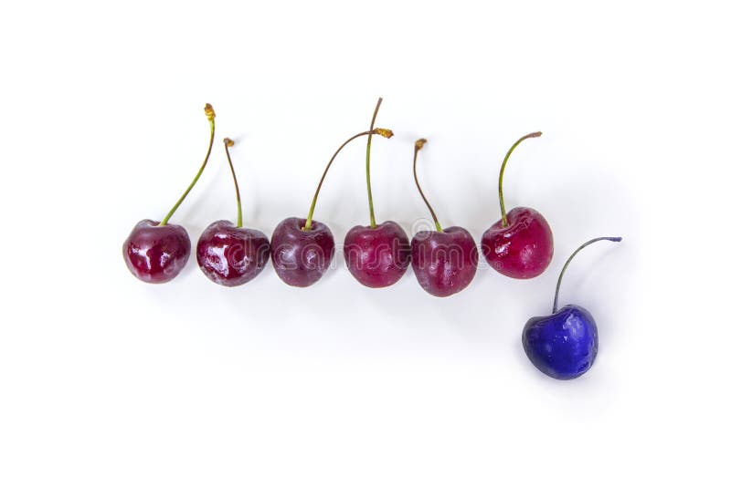 Red Cherries in a Row on a White Background, One Cherry Ultra Violet ...