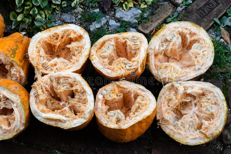 Seeds in Pumpkins, Cut Pumpkins Stock Image - Image of november ...