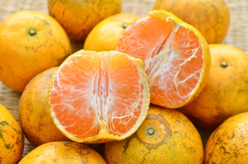 Group of oranges stock photo. Image of helpful, food - 28491084