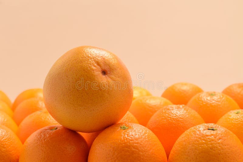 Group of Oranges in a Row Isolated on White Background, Space for Text ...