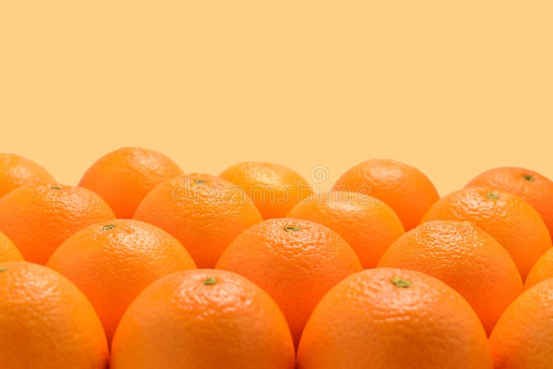 Group of Oranges in a Row Isolated on White Background, Space for Text ...