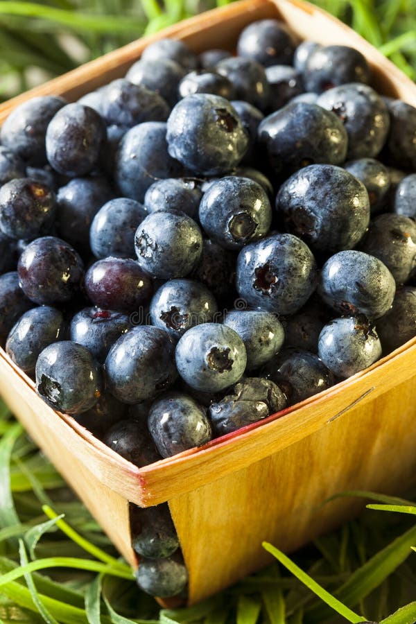 Group of Organic Blueberries Stock Image - Image of healthy, ingredient ...