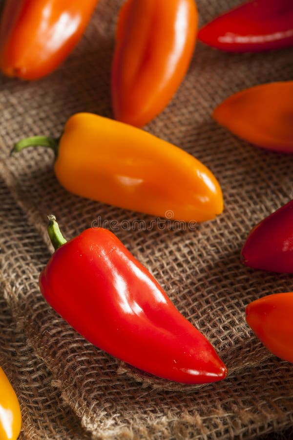 Group of Organic Colorful Hot Peppers Stock Image - Image of capsicum ...