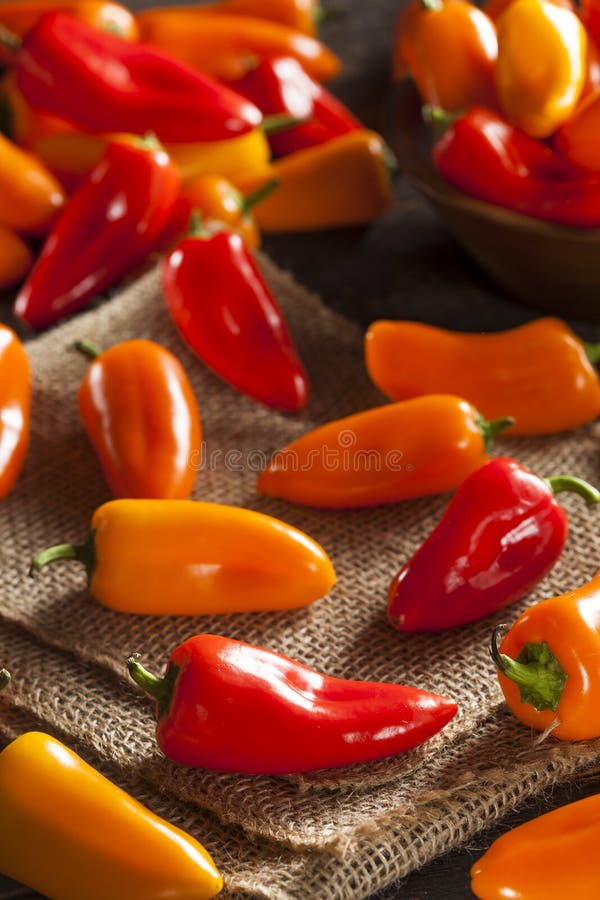 Group of Organic Colorful Hot Peppers Stock Photo - Image of chili ...