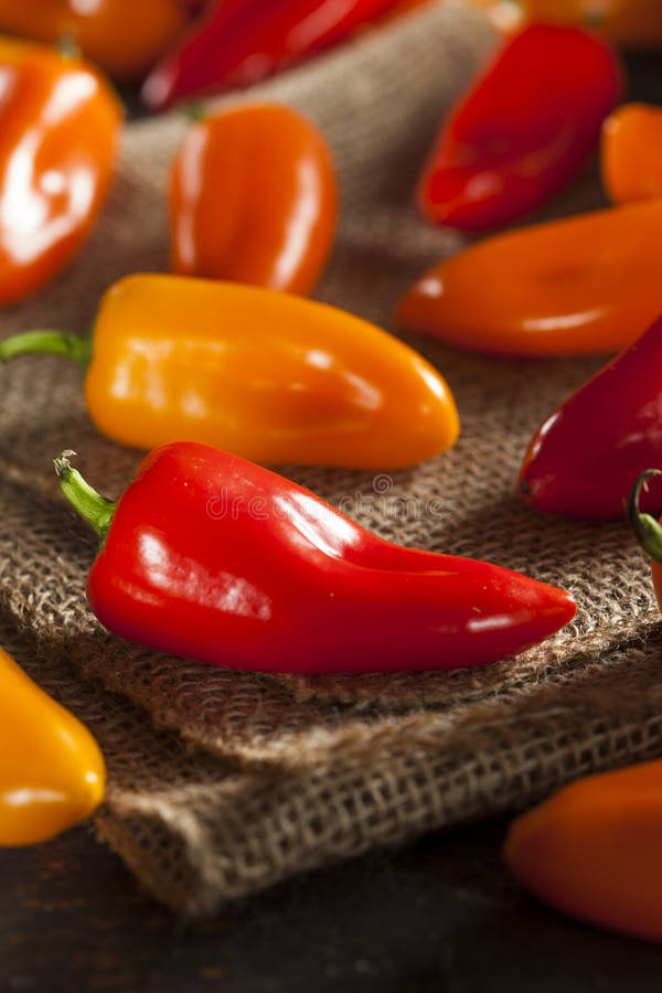 Group of Organic Colorful Hot Peppers Stock Photo - Image of vegetable ...