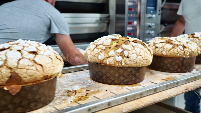 Pastry Chef Quick Picking Ready Panettone from Oven, for Cooling Hang ...