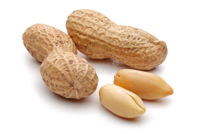 Group of peanuts stock image. Image of white, group, nutshell - 40345765