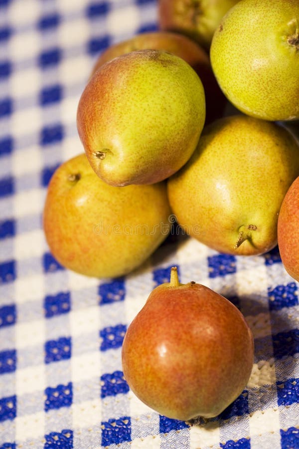 Group of pears stock image. Image of green, gorgeous - 12276097