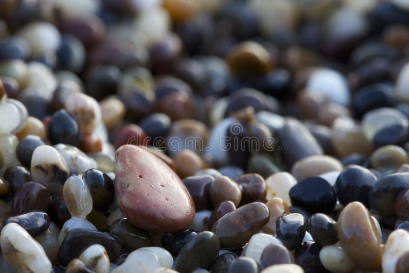 Group of Pebbles on the Beach Stock Photo - Image of pebbles, crowd ...