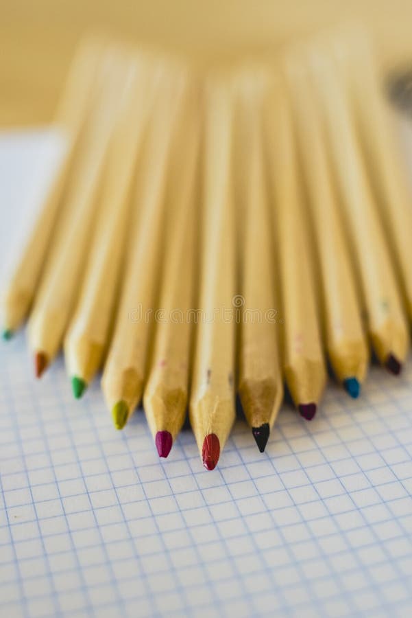 Group of Pencils Arranged on Graph Paper Stock Image - Image of drawing ...