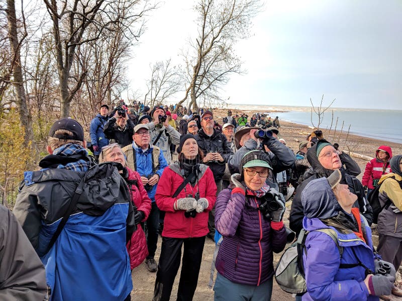 A Group of People Bird Watching at Point Pelee in Ontario Editorial ...
