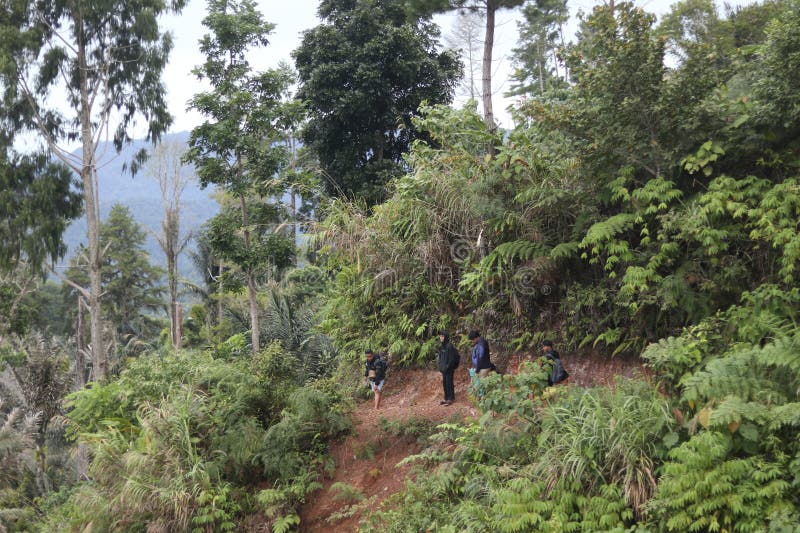 A Group of People Camping Together in Nature Stock Photo - Image of ...