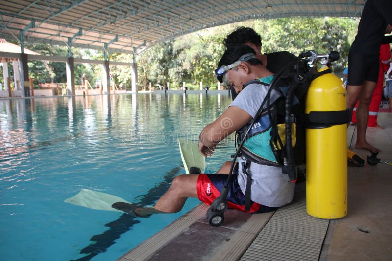 A Group of People Doing Diving Training in a Swimming Pool Editorial ...