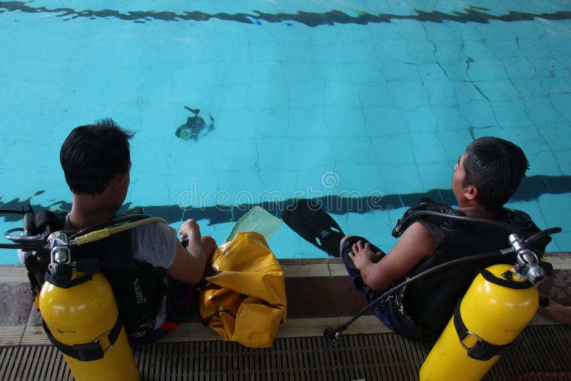 A Group of People Doing Diving Training in a Swimming Pool Editorial ...